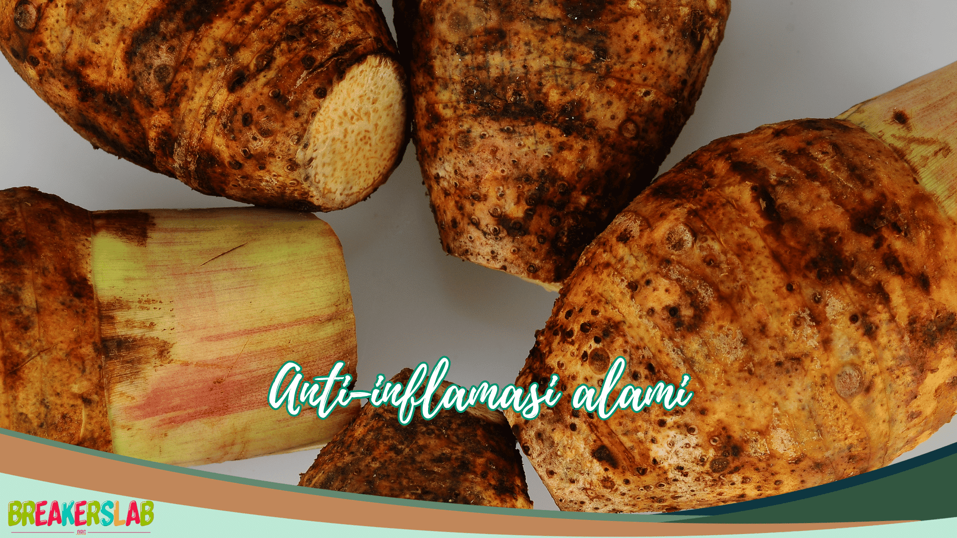 6 Manfaat Buah Keladi yang Wajib Diketahui: Bukan Sekedar Buah Biasa ... 6 Manfaat Buah Keladi yang Wajib Diketahui: Bukan Sekedar Buah Biasa ...